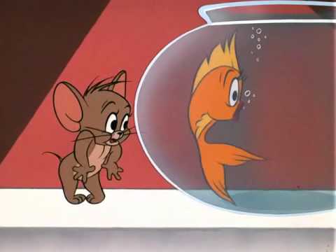 Fillet Meow | Dr. Grob's Animation Review